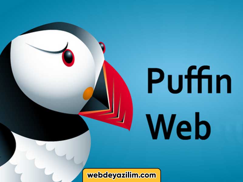 iPhone İçin En İyi 10 İnternet Tarayıcı Uygulamaları - 2020