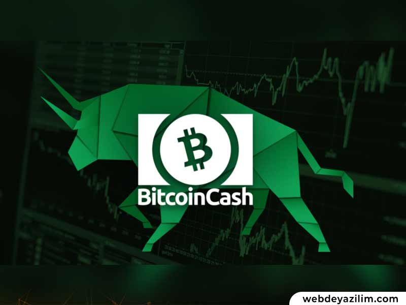 BCH Coin Nedir? (Bitcoin Cash) ️ Fiyatı, Geleceği, Yorumu