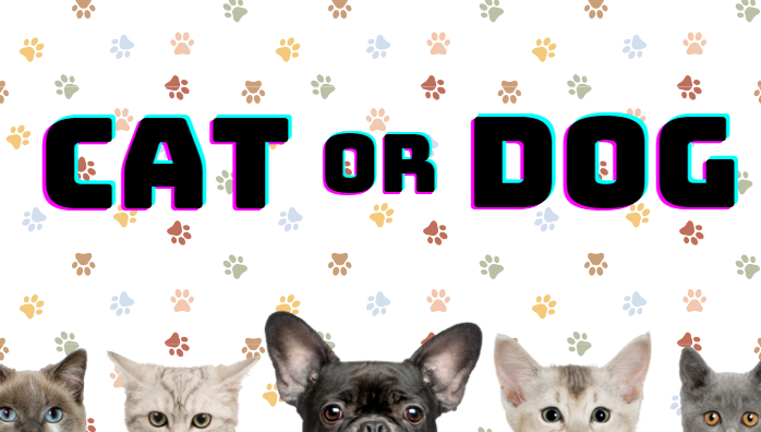 Veri Bilimi: Matplotlib Kullanarak Veri Görselleştirme